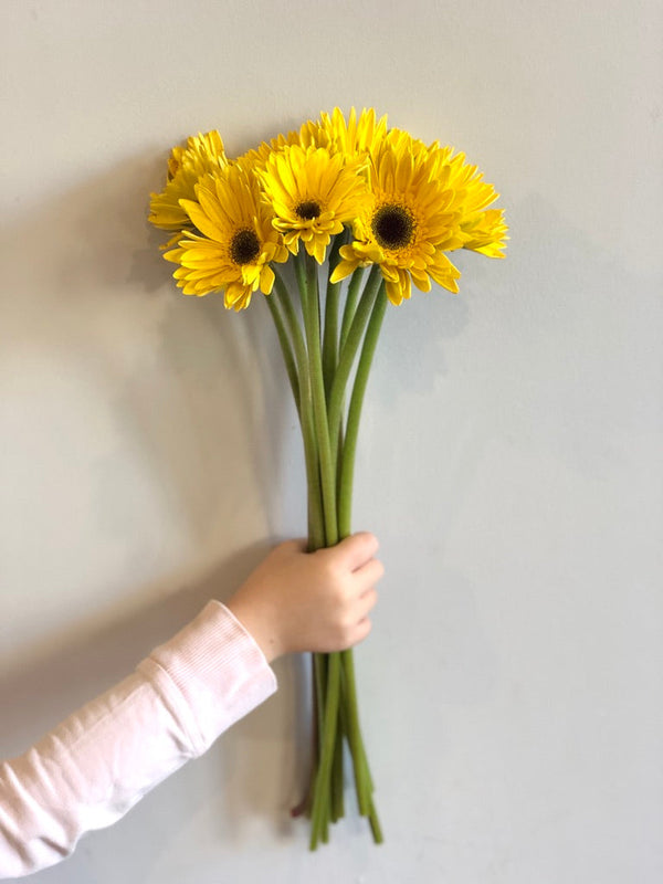 Flower Delivery Brunswick | Florist Brunswick | Brunswick Blooms